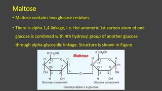 disaccharides | PPTX