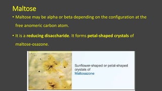 disaccharides | PPTX