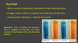 disaccharides | PPTX