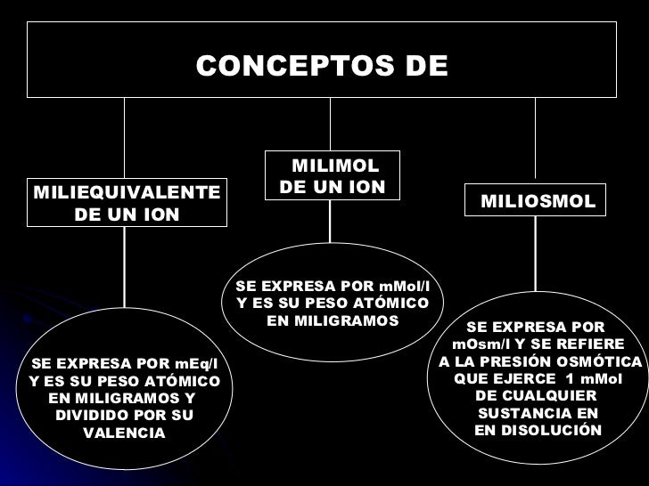 LeccióN 8. El Medio Interno