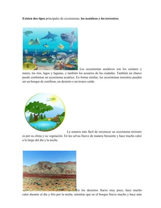 Los seres vivos y su ambiente | PDF
