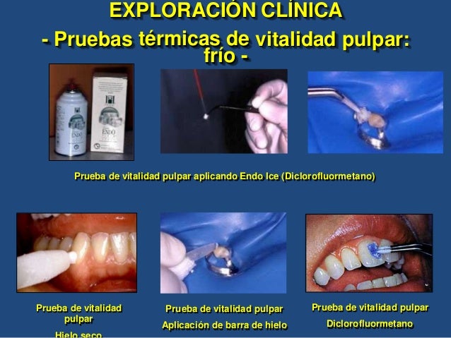 Leccion 4 y seminario 2