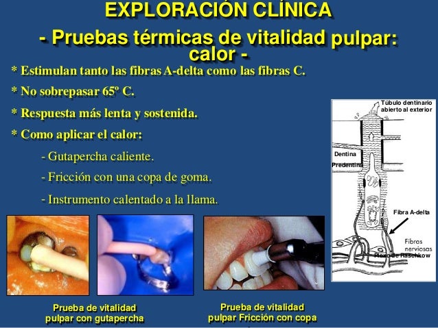Leccion 4 y seminario 2