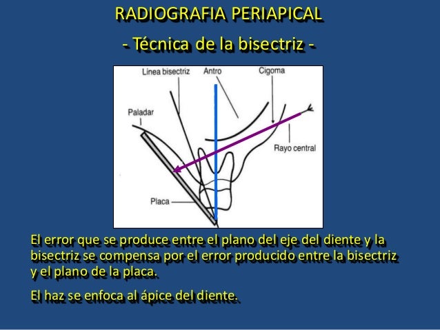 Leccion 4 y seminario 2