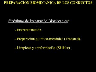 Anatomia apical. Longitud de trabajo endodoncia | PDF