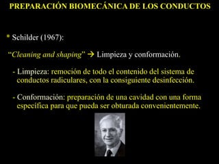 Anatomia apical. Longitud de trabajo endodoncia | PDF