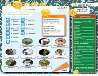 Spanish Lesson : Descubre el Amazonas | PDF