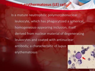 Le cell | PPTX