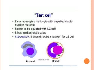 LE cell.ppt