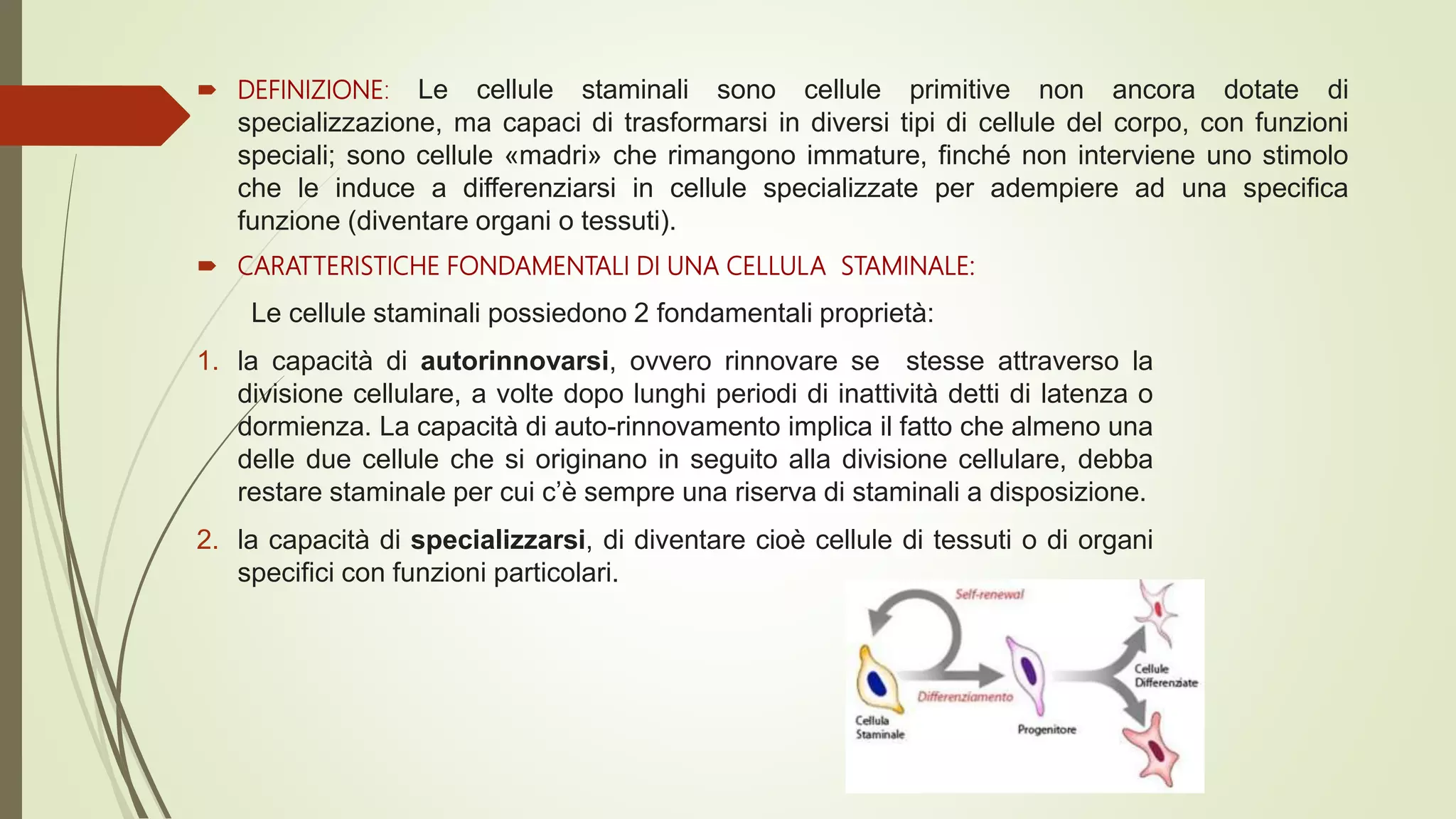Le cellule staminali | PPTX