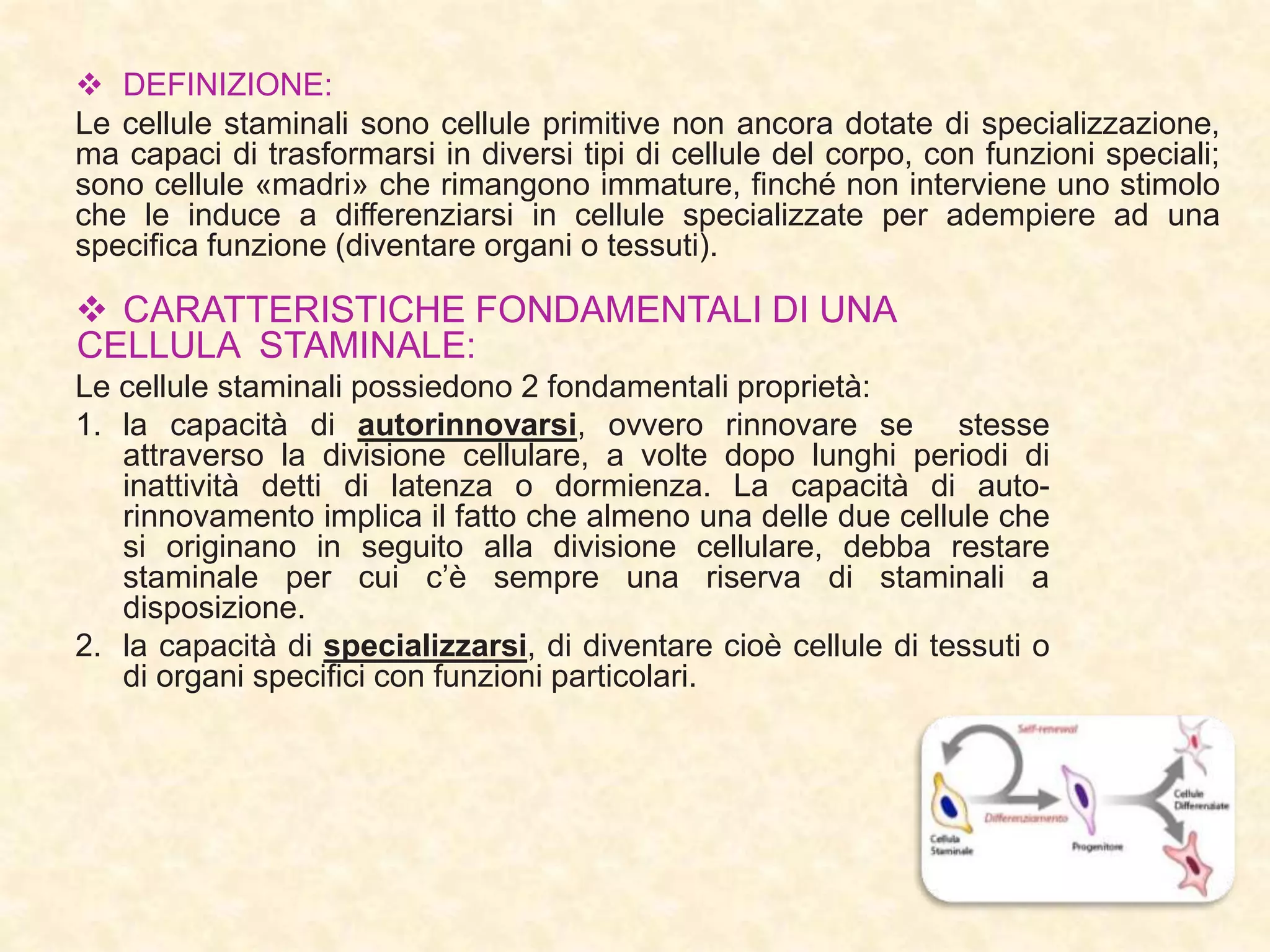 Le cellule staminali | PPTX