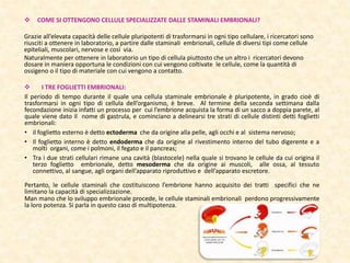 Le cellule staminali | PPTX