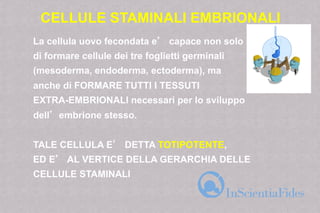 Le cellule staminali contenute nel sangue cordonale | PDF ...