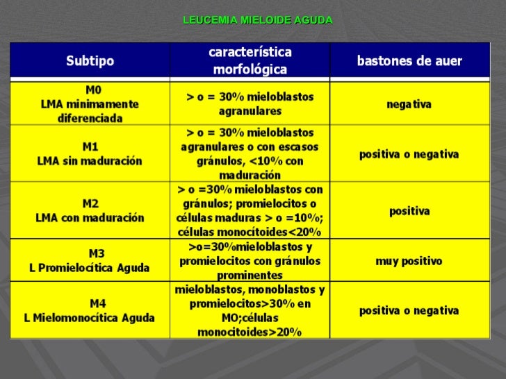 Leucemias clasificacion