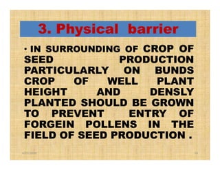 General principles of seed production | PDF