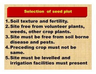 General principles of seed production | PDF