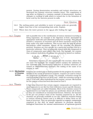 lech205.pdf