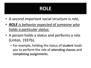 Lec iii Role and Status - Imran Ahmad Sajid | PPTX