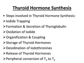 Iodine uptake and synthesis [autosaved] | PPT