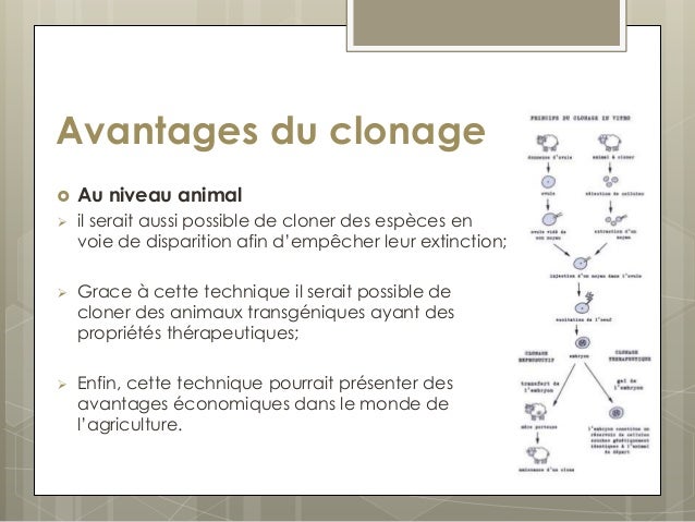 biologie