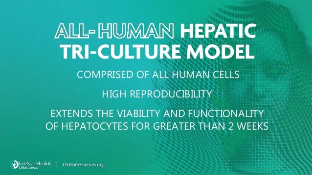 A Novel, All-Human Hepatic Triculture System | PPTX