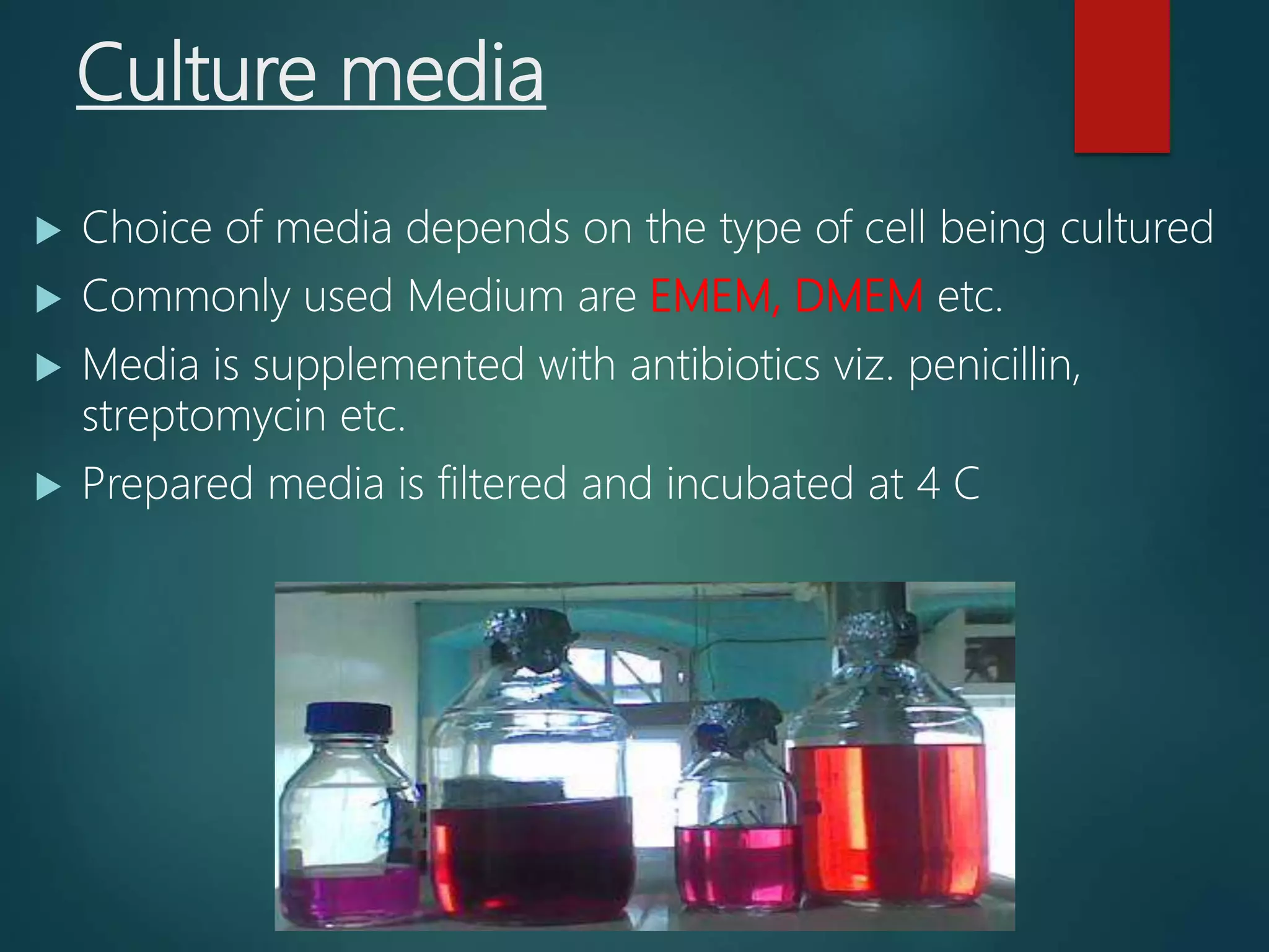 Lec Mammalian Cell Culture.ppt