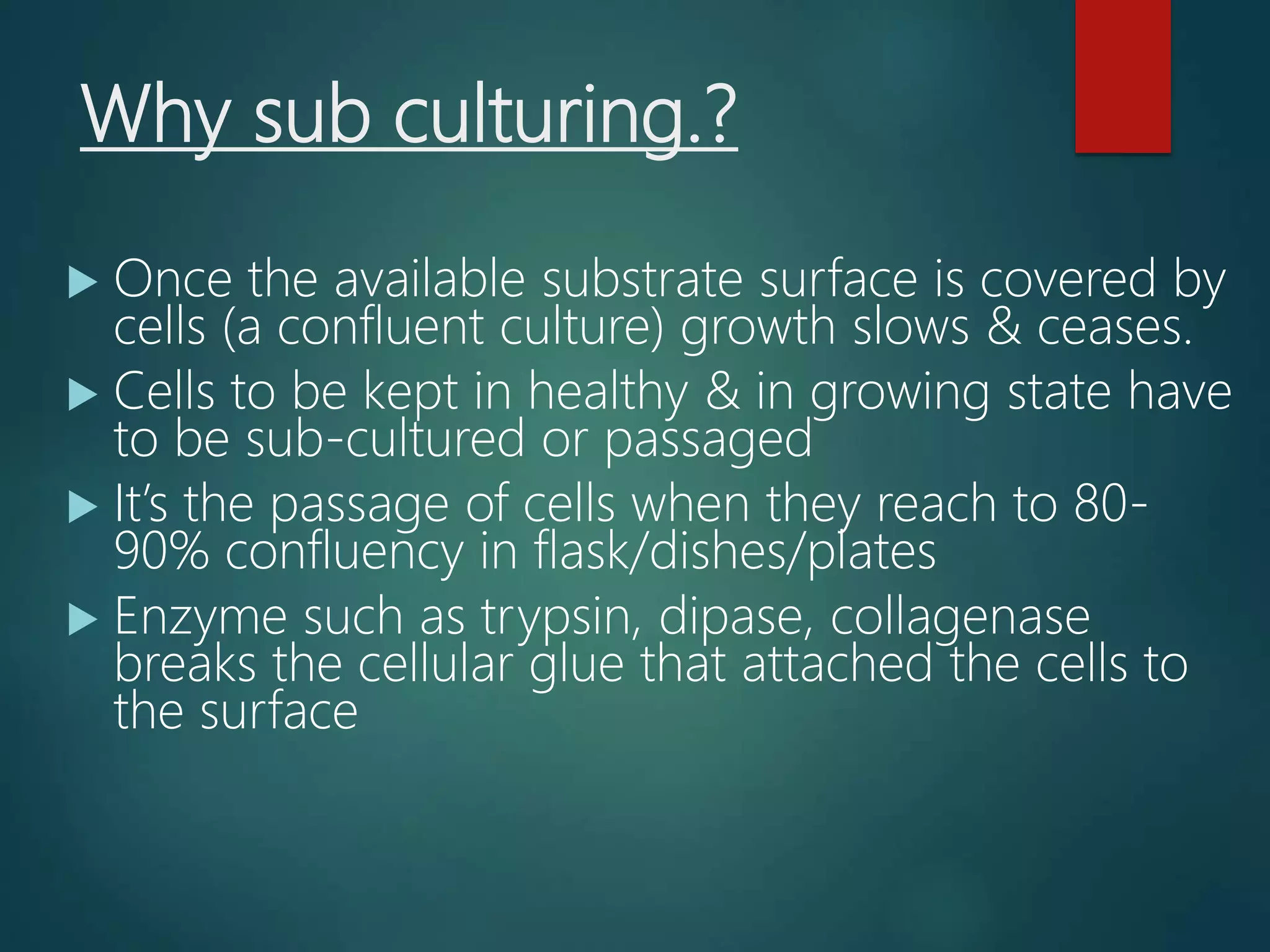 Lec Mammalian Cell Culture.ppt