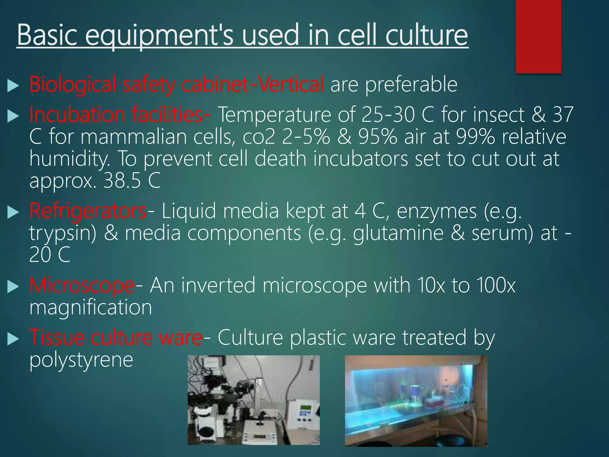 Lec Mammalian Cell Culture.ppt