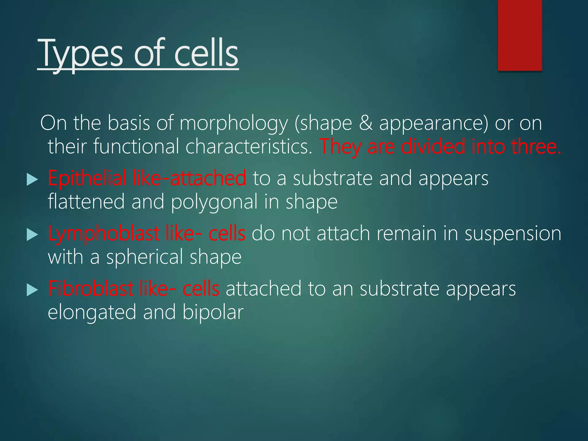 Lec Mammalian Cell Culture.ppt