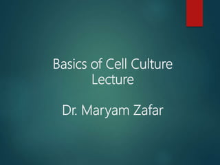 Lec Mammalian Cell Culture.ppt