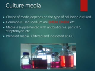 Lec Mammalian Cell Culture.ppt