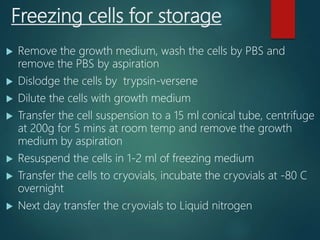 Lec Mammalian Cell Culture.ppt