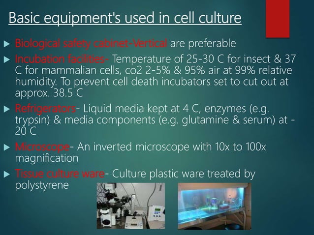 Lec Mammalian Cell Culture.ppt | Biological Sciences | Science