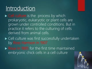 Lec Mammalian Cell Culture.ppt
