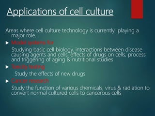 Lec Mammalian Cell Culture.ppt