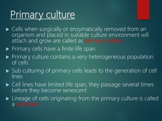 Lec Mammalian Cell Culture.ppt