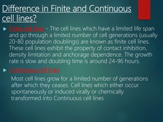 Lec Mammalian Cell Culture.ppt