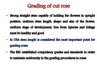 Cut flower and loose flower - Grading, packaging and storage techniques ...