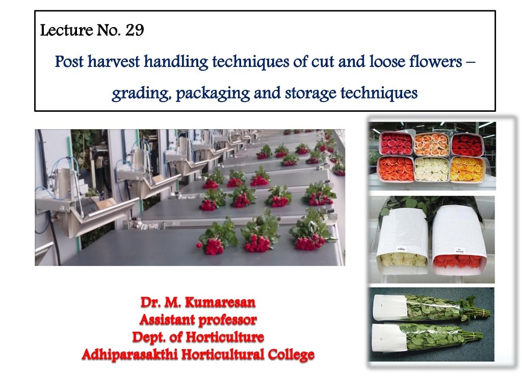 Cut flower and loose flower - Grading, packaging and storage techniques ...