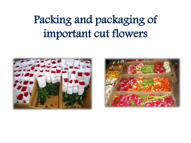 Cut flower and loose flower - Grading, packaging and storage techniques ...