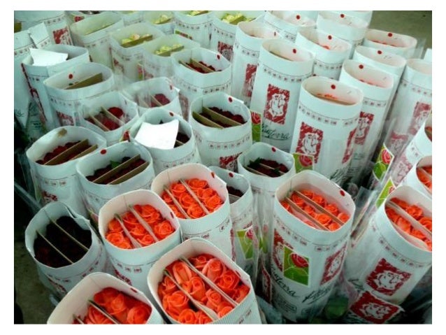 Cut flower and loose flower - Grading, packaging and storage techniques ...