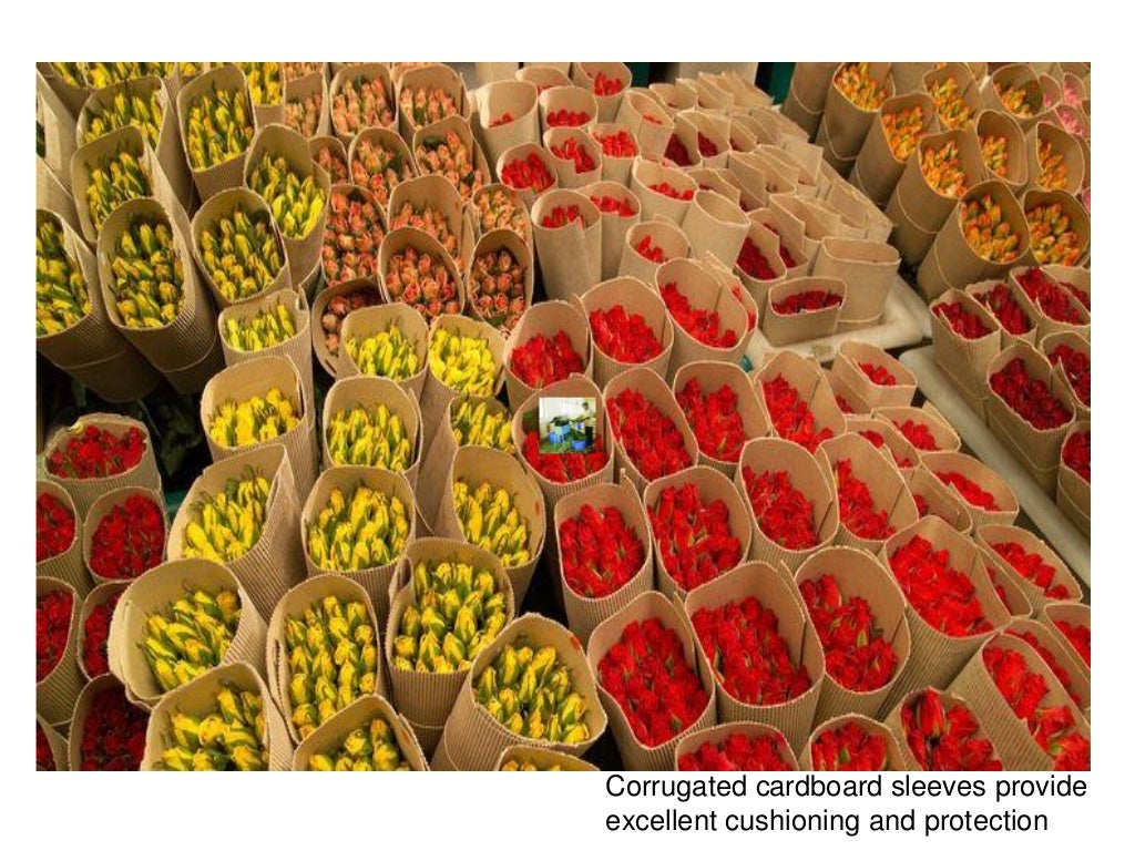 Cut flower and loose flower - Grading, packaging and storage techniques ...