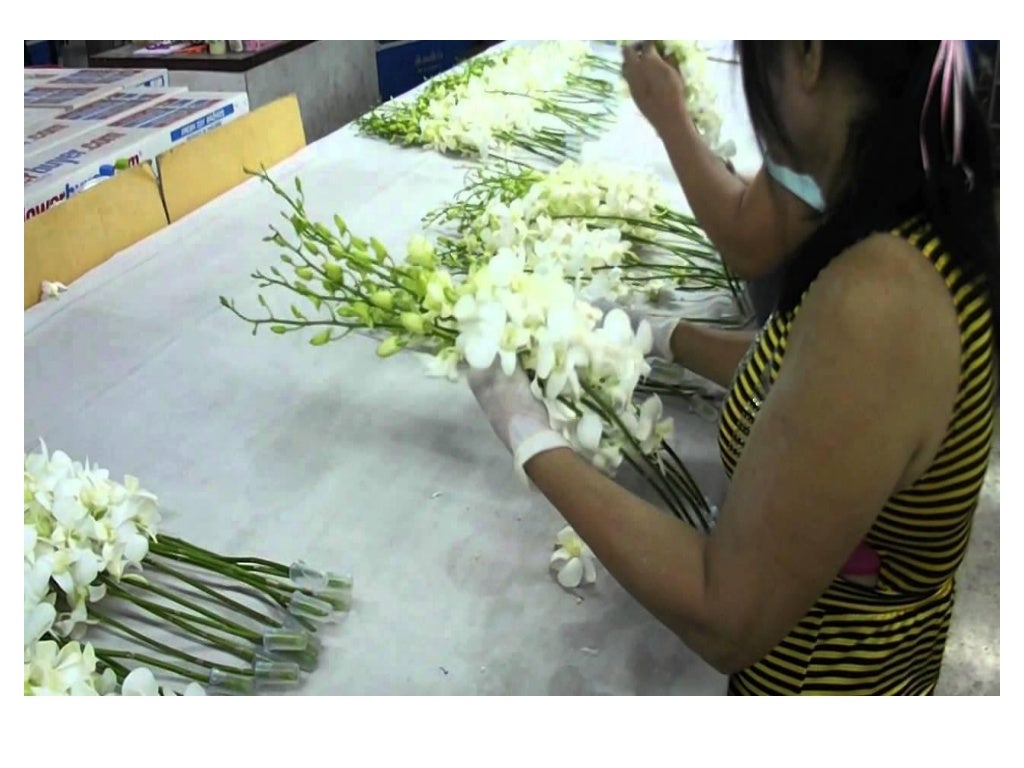 Cut flower and loose flower - Grading, packaging and storage techniques ...