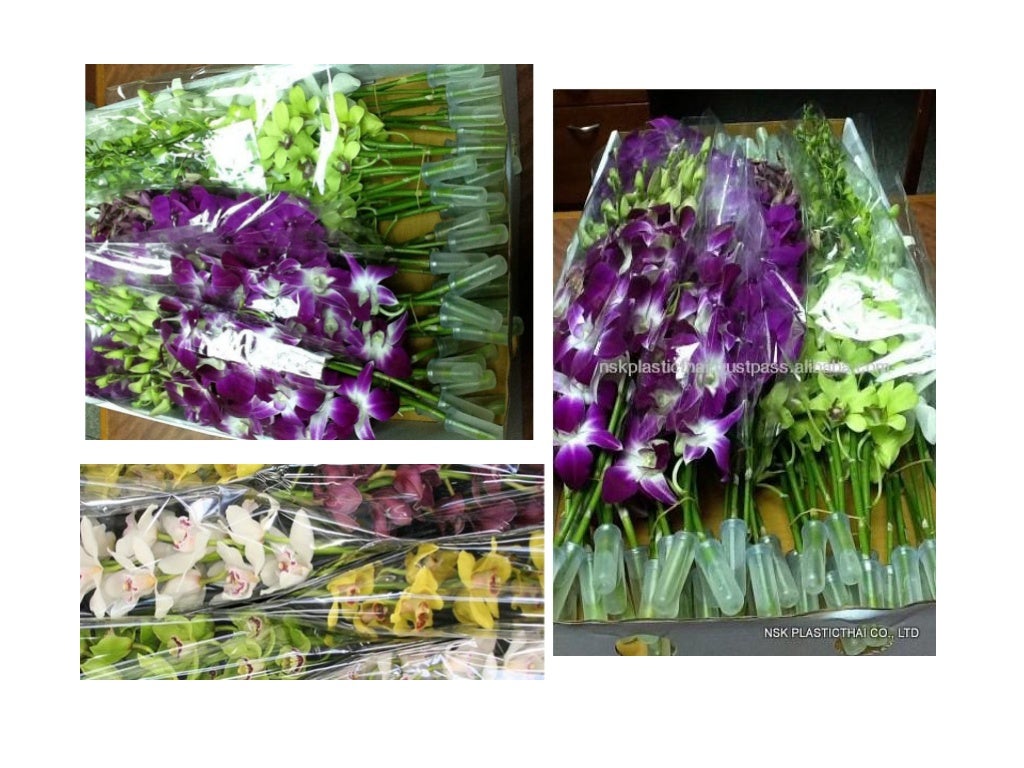 Cut flower and loose flower - Grading, packaging and storage techniques ...