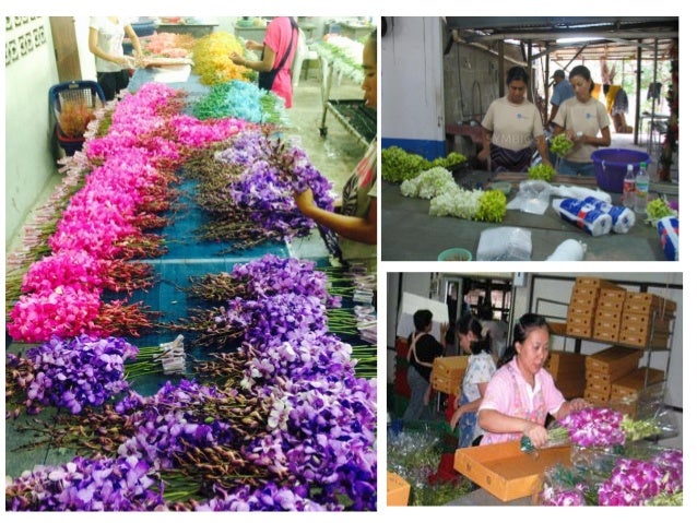 Cut flower and loose flower - Grading, packaging and storage techniques ...