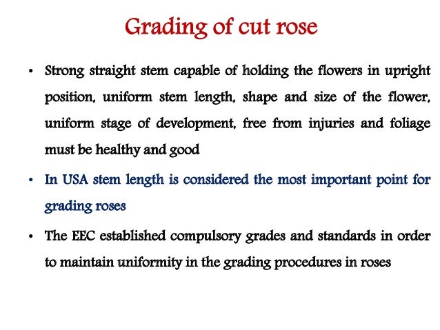 Cut flower and loose flower - Grading, packaging and storage techniques ...