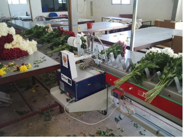 Cut flower and loose flower - Grading, packaging and storage techniques ...