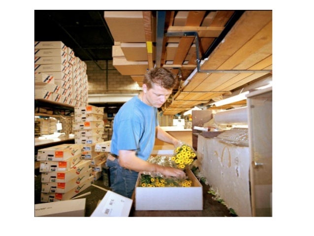 Cut flower and loose flower - Grading, packaging and storage techniques ...