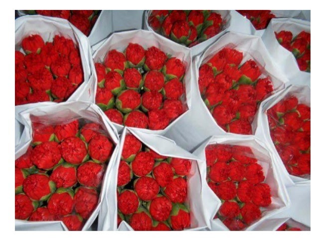 Cut flower and loose flower - Grading, packaging and storage techniques ...