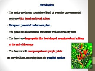 BOP and Ornamental gingers -Production technology | PDF